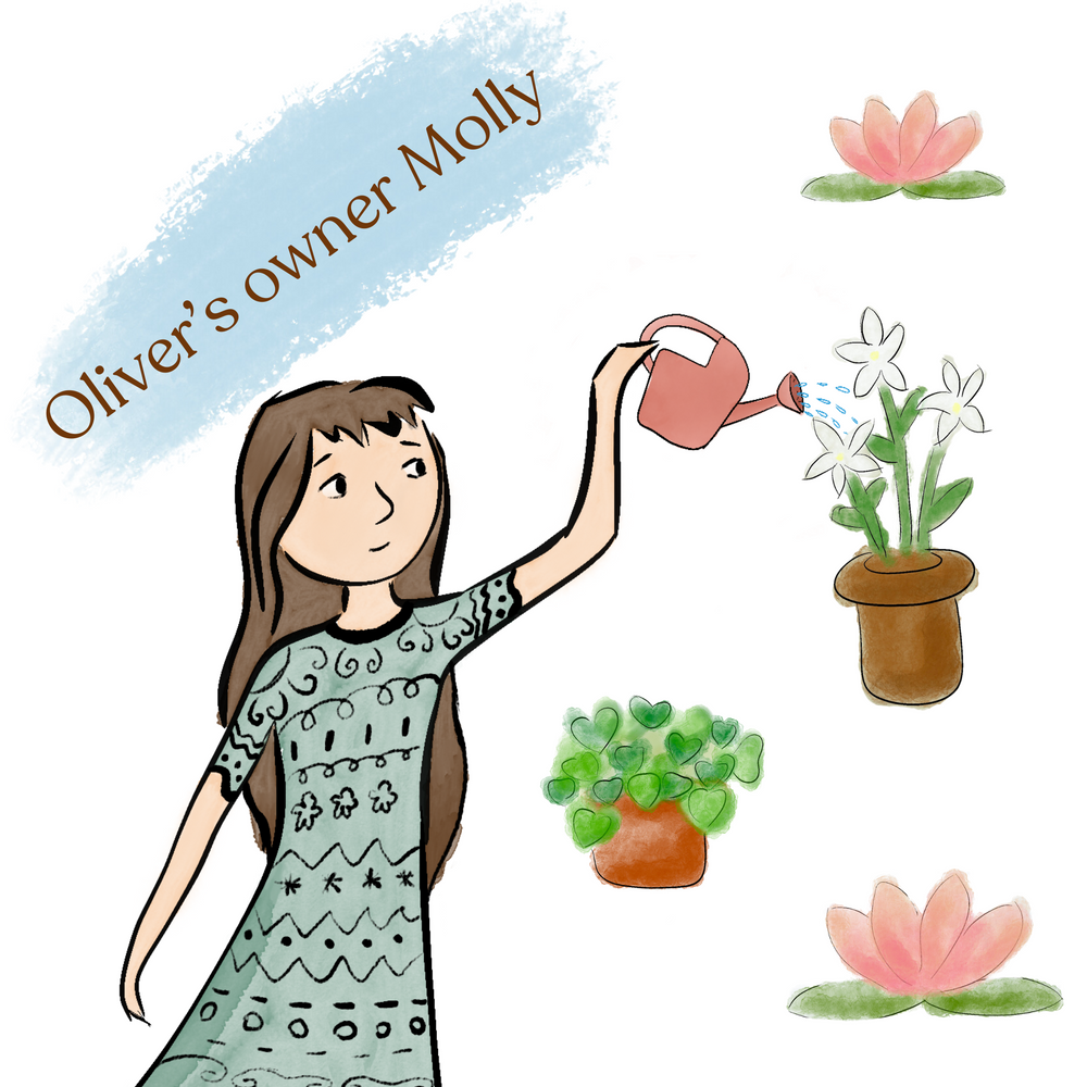 Ineffable Illustrations